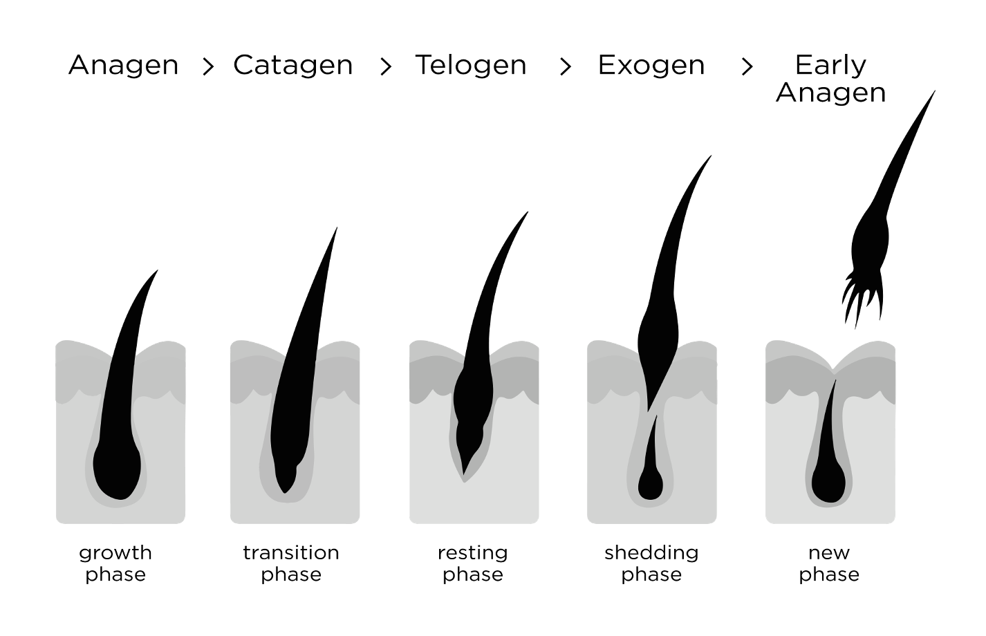 Dépose-repose des extensions de cils - Cils'Jo entretien des cils naturels